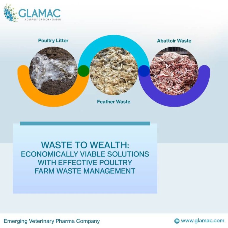 Glamac - Best Poultry Feed Additives Company in India