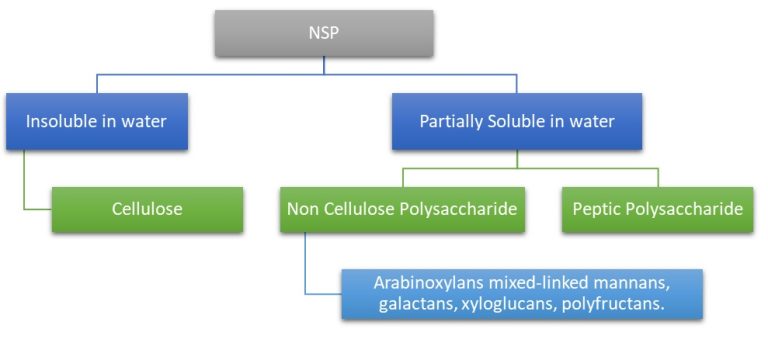 Impact of non-starch polysaccharides on broiler performance