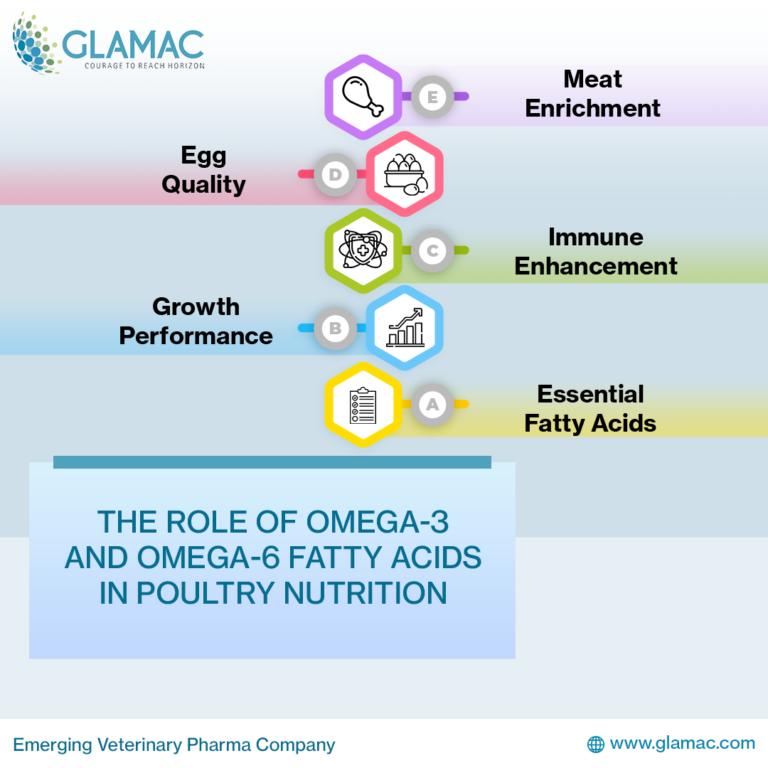 Fatty Acids in Poultry Nutrition
